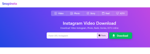 Snapinsta - Instagram Video, Photos, Reels & Stories Downloader