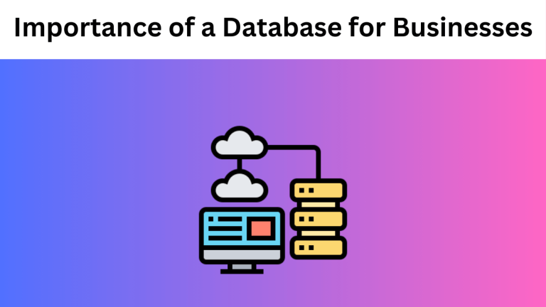 The Importance of a Database for Modern Businesses - MexSEO
